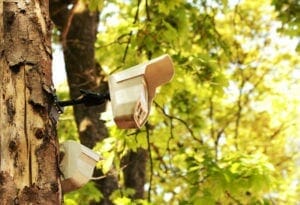 How To Hide A Camera In Plain Sight (6 Ideas)