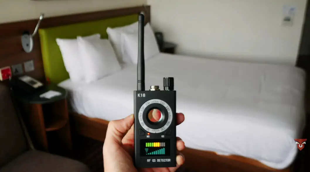 How to Use a Bug Detector?