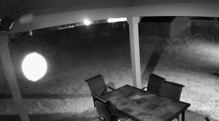 What Are Orbs on Security Cameras (Facts and Myths)